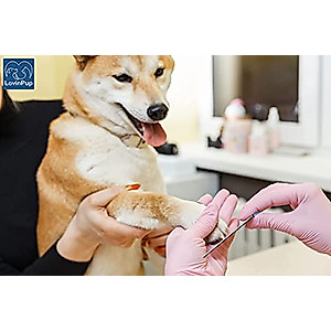 LOVINPUP Dog Nail Filer, Professional Nail Grooming Tool, Dog and Cat Nail Files, for Smoothing Rough Edges of Pet’s Nails, Best Nail Filer for Small/Large Dogs & Cats (1 Dog Nail Filer)