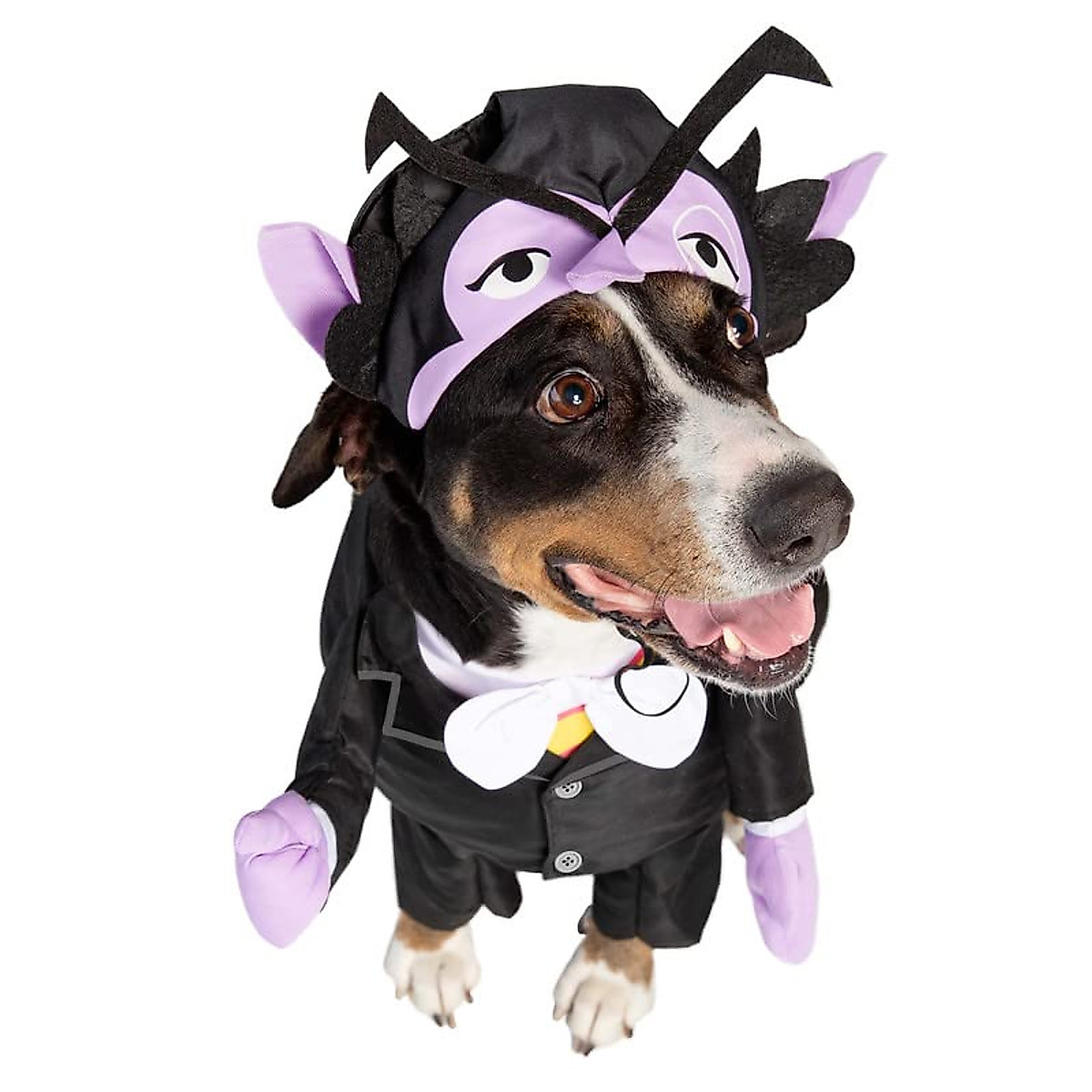 Pet Krewe The Count Vampire Dog Costume & Cat Costume Medium Size | Sesame Street Dracula Monster Pet Costumes for Dogs and Cats | Perfect for Halloween, Birthdays, Parties, Photoshoots