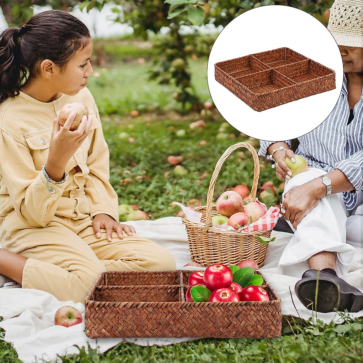 Cabilock 1pc Coffee Table Storage Basket Desktop Storage Basket Practical Storage Basket Compartment Storage Basket Storage Woven Basket Tea Table Storage Basket Storage Organizing Basket