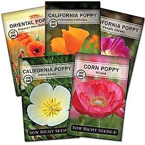 Sow Right Seeds - Poppy Flower Seeds Collection to Plant - Corn, Oriental, Purple Gleam, California Orange, and White Linen Varieties for Planting and Growing a Beautiful Garden; Non-GMO Heirloom Seed