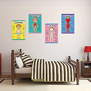 Human Body Educational Learning Posters Body Parts Learning Wall Chart for Kids Cartoon Anatomy Chart Educational Poster Preschool Kindergarten Teaching Supplies, Classroom Decoration, 17 x 11 Inch