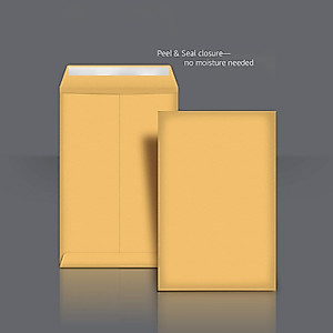 Amazon Basics Catalog Mailing Envelopes, Peel & Seal, 10x13 Inch, Brown Kraft, 100-Pack