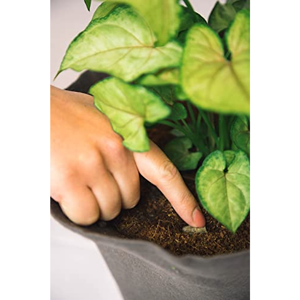 Wool Pellets Water Holding Organic Fertilizer