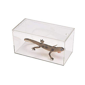 Pioneer Plastics 083CAQUA Clear Micro Habitat Terrarium, Tarantula Enclosure, Desktop Aquarium, 7.75" W x 3.75" D x 3.75" H