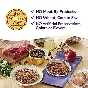 Wellness Complete Health Small Breed Dry Dog Food with Grains, Natural Ingredients, Made in USA with Real Turkey, For Dogs Up to 25 lbs. (Puppy, Turkey, Salmon & Oatmeal, 4-Pound Bag)