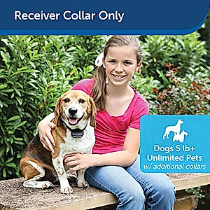 PetSafe Collar for In Ground Receiver Fence with Charger