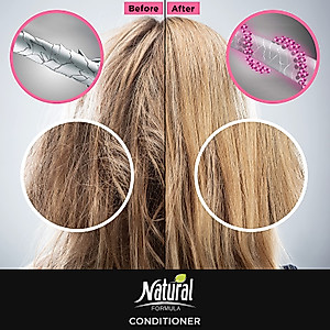 Natural FORMULA Ampoule Intense Hair Conditioner - Professional Ampoule Treatment with Natural Oils - Repair, Restore and Nourish Damaged, Dry, and Color-Treated Hair - Paraben Free - 13.5 Fl Oz