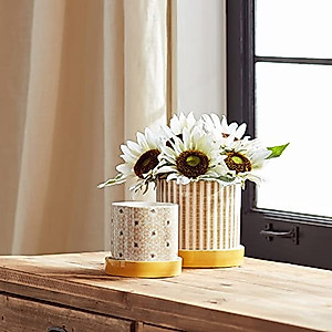 Melrose 85140 Container, Set of 2