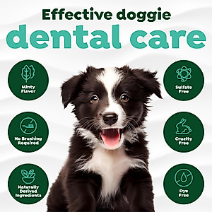 TropiClean Clean Teeth Gel for Puppies | No Brush Puppy Dental Gel | Puppy Toothpaste | Puppy Tooth Gel for Small Dogs | Made in the USA | 2.2 oz.