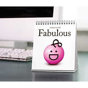 Fred & Friends The Daily Mood Desk Flipchart