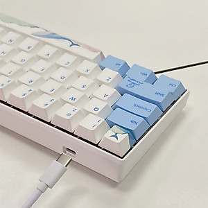 FKZ CXTECH X61 Sea Blue Theme Mechanical Keyboard,Outemu Hot Swap Switch Cherry Profile PBT Custom Keycaps,Mini 61 Keys Type-C Wired Keyboard,White Backlit 60% Gaming Keyboard (Red Switch)