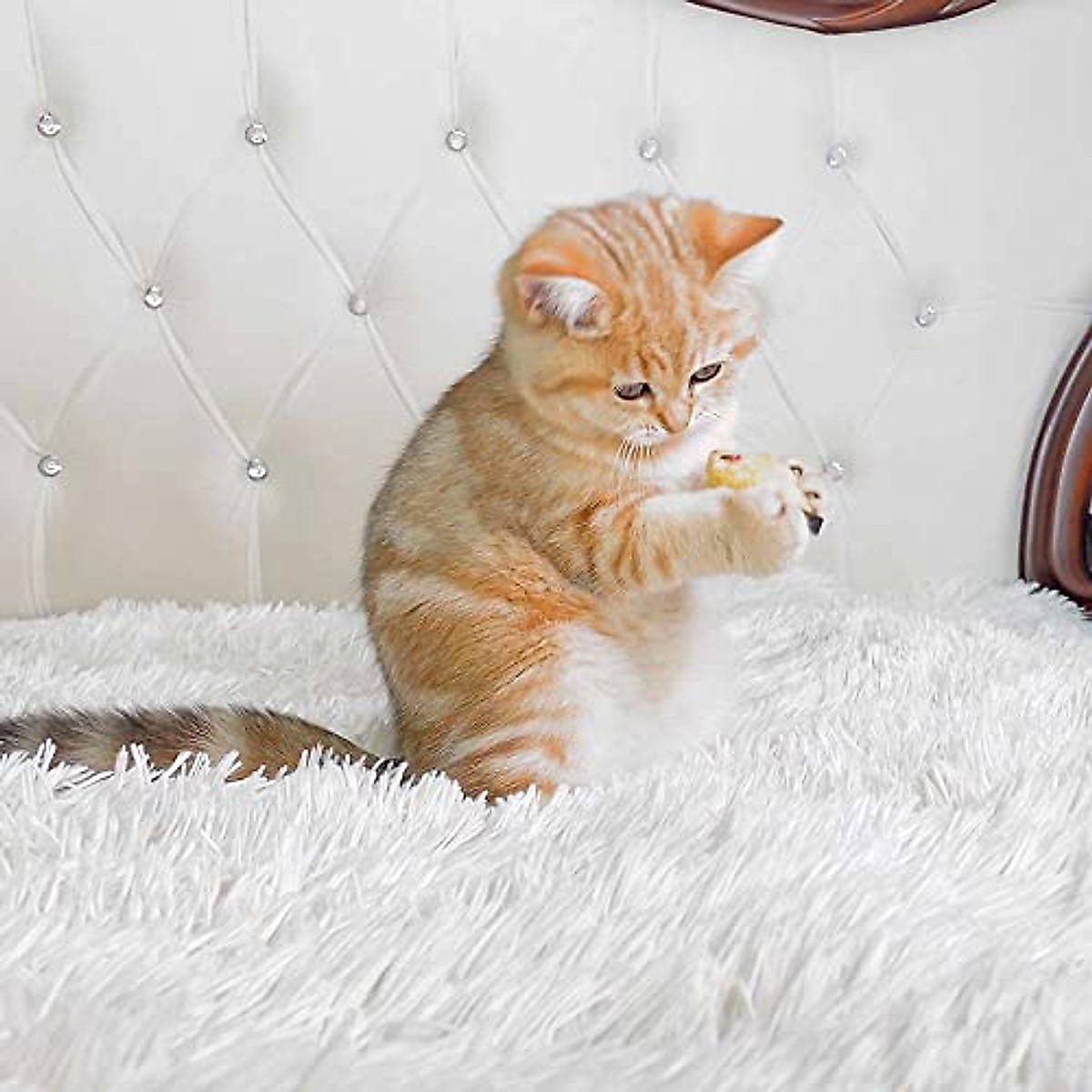 Sheba Perfect Portions Premium Cat Food Pate 4 Flavor 8 Can Variety with Toy Sampler Bundle, (2) Each: Salmon, Chicken Tuna, Turkey, Chicken (2.6 Ounces)