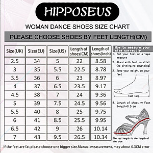 HIPPOSEUS Latin Dance Shoes for Women with Closed Toe Lace up Ballroom Latin Salsa Tango Dance Practice Shoes Low heel 2.75",Black Silver, 5.5 B(M) US