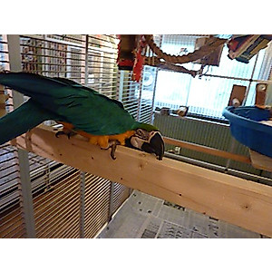 Natural Inspirations Parrot Cages Birdy Bracket 2x4 Holders (Black and Silver)