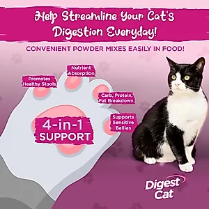 Vital Planet - Digest Cat Digestive Pancreatic Enzyme Blend with Pumpkin and Ginger to Support the Pancreas and Healthy Digestion with Pancreatin, Salmon Flavored Powder for Cats - 111 Grams 30 Scoops