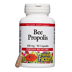Natural Factors, Bee Propolis Extract 500 mg, Supports a Healthy Immune System, 90 capsules (90 servings)