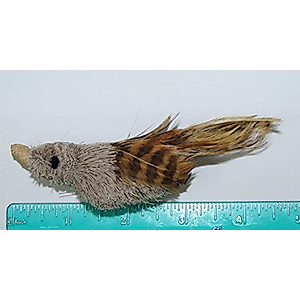 Big Sky Cats House Finch Bird Refill/Attachment- Fits Wildcat and Popular Bird and Mouse Type Wands/Poles