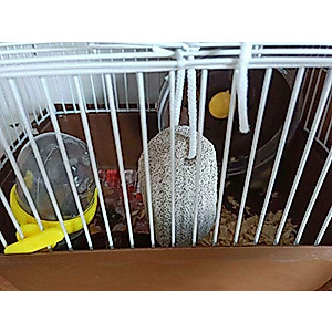 Toukeroue Hamster Chew Stones, 6 Pack Natural Volcano Lava Block Hamster Teeth Grinding Stones, Small Animal Teeth Molar Grinding Toys for Guinea Pig Hamster Rabbit Chinchilla Bird Parrot