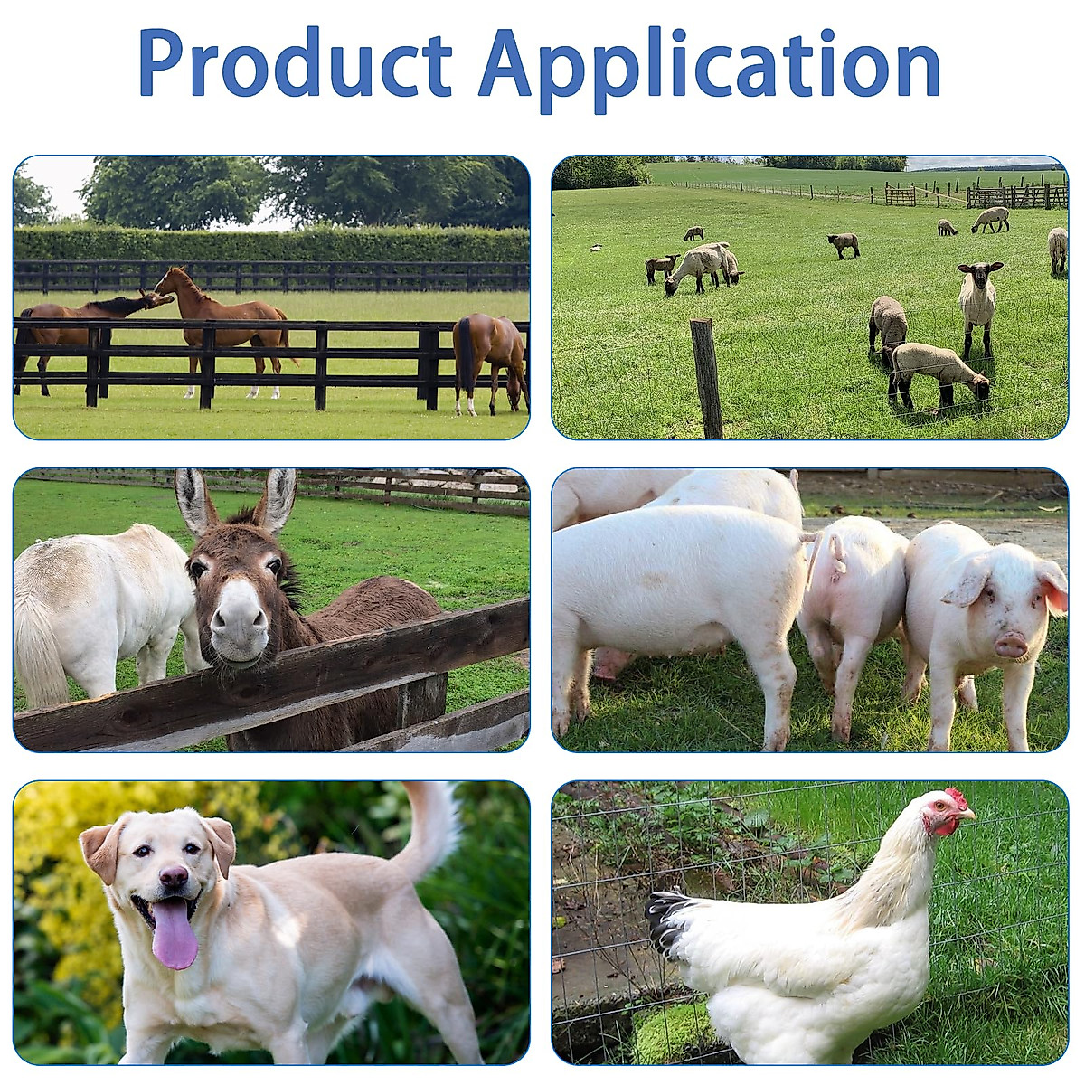 Electric Fence Energizer Plus 250,Electric Fence Charger PE2 0.10 Joule,Livestock Fence Chargers for Containing Pets and Keeping Out Small Nuisance Animals