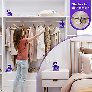 Clothes Moth Traps, 10 Pack Pheromones Clothing Moth Trap with Lure for Closets & Wardrobes, Carpet and Fabric Moth, Moth Treatment & Prevention for Indoor