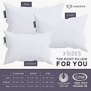 Lincove Cloud Natural Canadian White Down Luxury Sleeping Pillow - 625 Fill Power, 500 Thread Count Cotton Shell, Made in Canada, Standard - Soft, 1 Pack