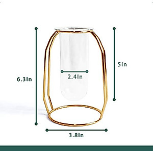 FSyueyun Desktop Glass Vase with Metal Frame，Modern Creative Hydroponics Vase Metal Flower Planter Terrariums Plant Glass-Gold (6.3Inch)