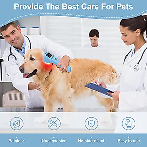 Kdvioo Cold Laser Therapy Device, Portable Red Light Therapy with 4pcs 808nm and 16pcs 650nm, Near Infrared Laser Therapy Relieve Pain and Accelerates Wound Healing for Pets Dogs Horse Cats (Blue)