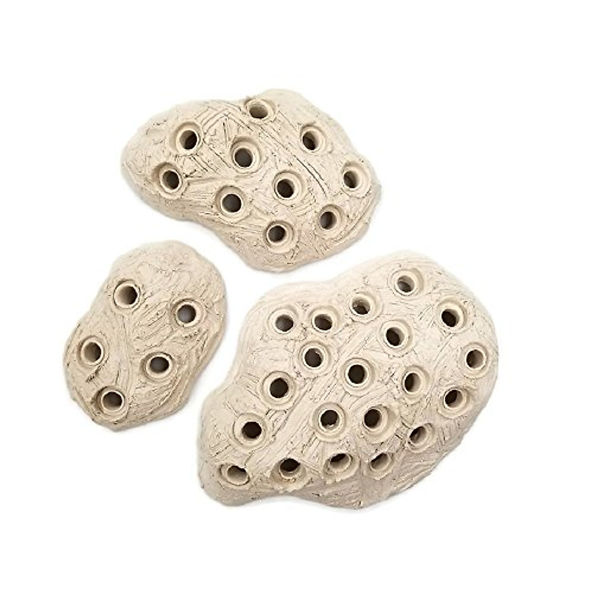 Oceans Wonders Flush Fit Frag Station Hub 5.0 Coral Reef Plug Holder with 5 Plugs