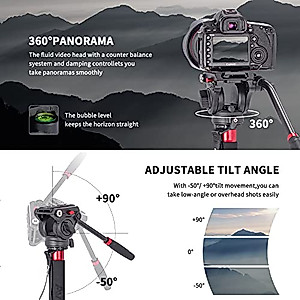Avella CD324 Carbon Fiber Video Monopod Kit, with Fluid Head and Removable feet, 71 Inch Max Load 13.2 LB for Canon Nikon Sony Olympus Panasonic DSLR Camera