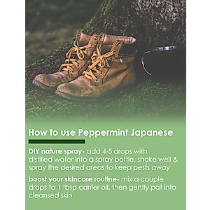 Peppermint Essential OIl - 100% Pure Essential Oil - 2 fl oz w/Glass Dropper