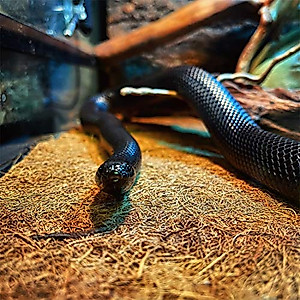 Hamiledyi Reptile Carpet Mat Coconut Fiber,Tortoise Substrate Liner Lizard Reptile Coco Liner for Bearded Dragon Snake Gecko Turtle Lizard Chamelon Iguana