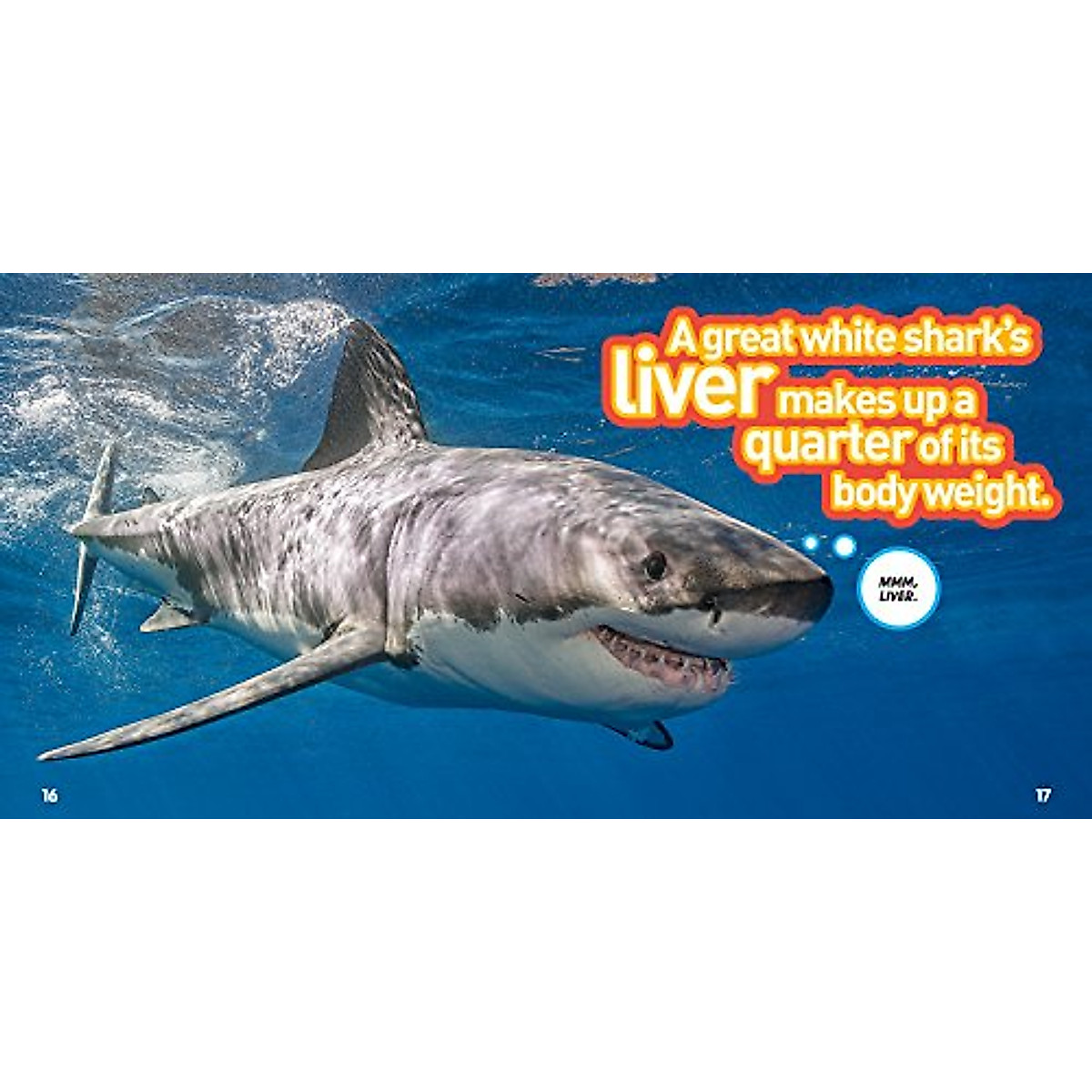 Weird But True! Animals