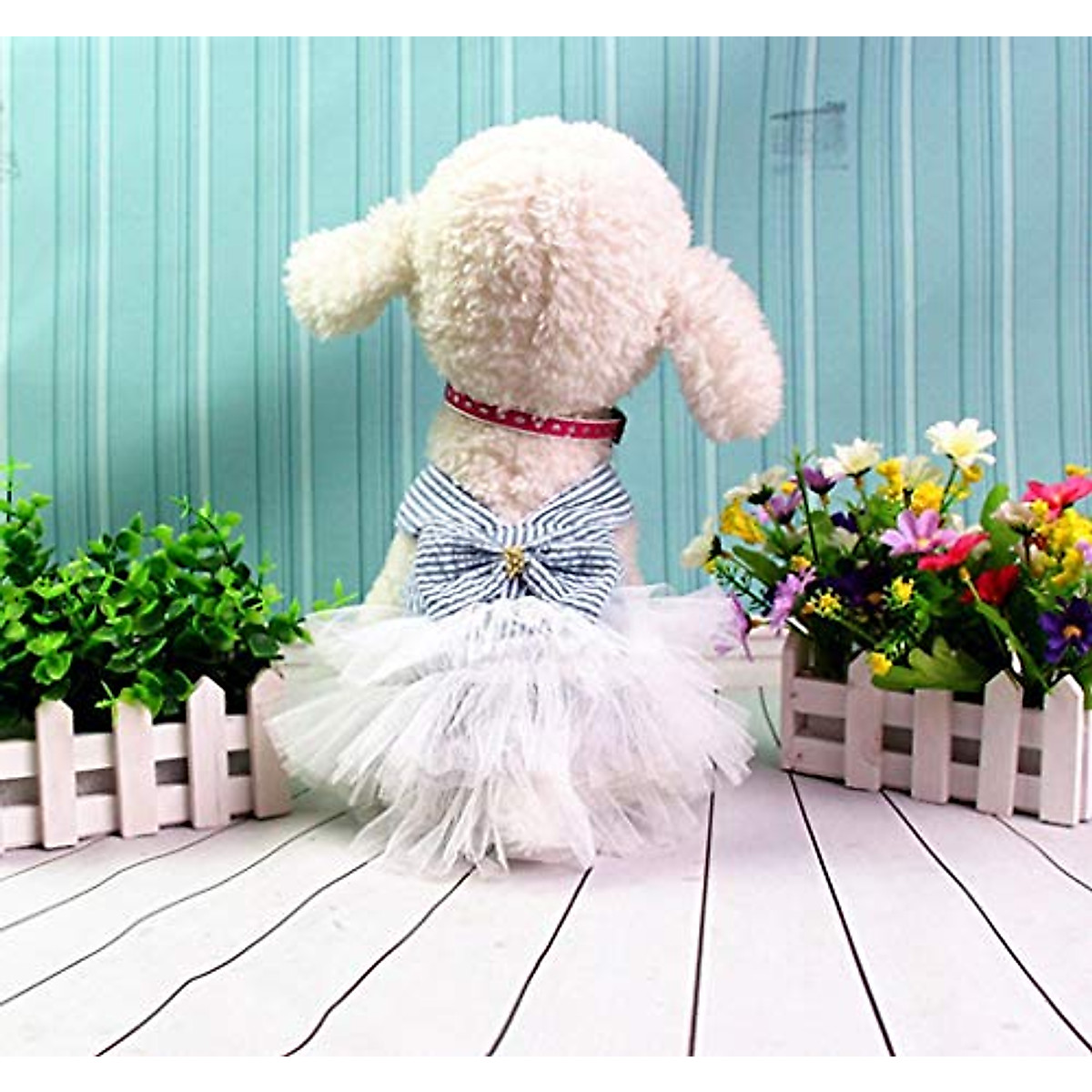 Howstar Pet Clothes, Fashion Puppy Vest Print Dog Shirt for Small Dogs Apparel