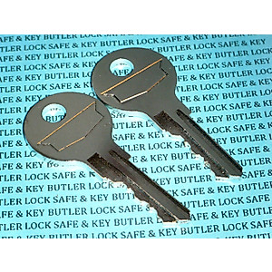 JETUSA Steelcase File Cabinet Keys from FR351 to FR400 Chicago Office Furniture Desk Keys. 2 - Keys Just Match Your Number Steel Case (FR400)