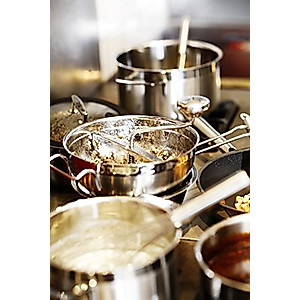 Rösle Stainless Steel Food Mill with Handle and 2 Grinding Disc Sieves