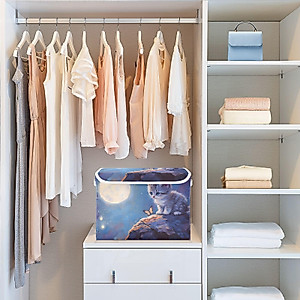 AIXIWAWA Storage Cube with Lid (Night Cute Cat), Fabric Foldable Closet Bins with Flip Lid and Handles, Organizer Basket Container 16.5 x 12.6 x 11.8 IN