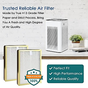 Filtmonster Upgraded MA-25 H13 True HEPA Replacement Filter for MA-25 Air Purifier，3-in-1 True HEPA, Activated Carbon and Pre-Filter（2 Set）