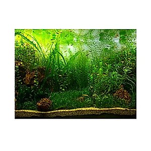 PVC Aquarium Background Poster,Water Grass Style PVC Adhesive Static Aquarium Wallpaper Background(61 * 41cm)