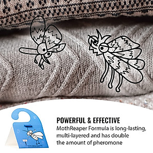 Clothing Moth Traps with Pheromones 6-Pack - Clothes Moth Trap with Lure for Closets & Wardrobes, Carpet and Fabric Moth, Wool Moths Traps Indoor Moth Treatment & Prevention