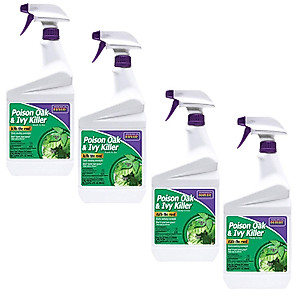 Bonine Store Bonide-5066-4/pack