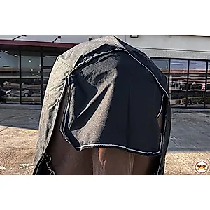 HILASON 1200D Turnout Light Winter Waterproof Rain Sheet Horse Sheet Black | Horse Sheet | Horse Turnout Sheet | Horse Sheets for Winter | Waterproof Turnout Sheets for Horses