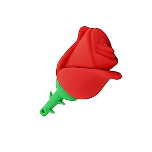 WooTeck 64GB Cartoon Lovely Rose Flower USB Flash Drive