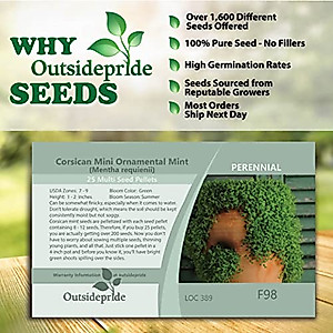Outsidepride 50 Pellets Perennial Mentha Corsican Mini Mint Ground Cover Seeds for Planting