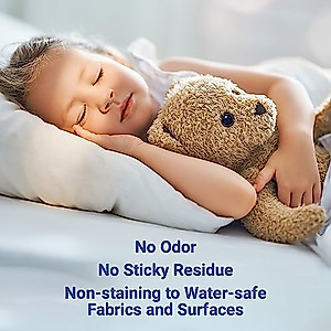 Rid Home Lice Bed Bug Dust Mite Spray Home Treatment Spray With Permethrin Kills Lice and Lice Eggs on Mattresses Furniture Car Interiors and Other Nonwashable Items Spray Can , 5 Ounce