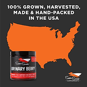 Super Snouts Urinary Berry Urinary Tract Supplements for Dogs & Cats, Made in USA, US & Canadian Blueberry & Cranberry Powder, UTI, Kidney Health Support, Bladder Support for Dogs (2.64 oz)
