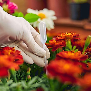 Ostrat 100PCS 1ML Disposable Plastic Pipette with Scale,Transfer Pipettes Dropper for Scientific Labs Experiment,Measuring, Watering, Dispensing