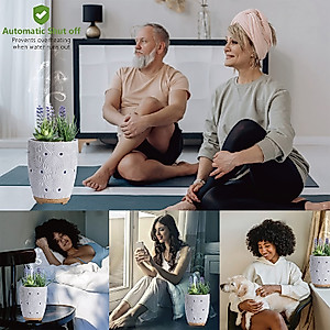 Artificial Succulent Plants Potted Diffusers for Essential Oils with 7 Colors LED Light,Ceramic Cool Mist Super Quiet Aromatherapy Diffuser for Home Office Room