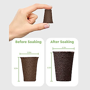 moistenland 50-Pack Compatible Seed Pod Sponges, Seed Starter Sponge Pods Replacements, Root Growth Sponge Plugs for Hydroponic Indoor Garden kit Seed Starting (Seeds Not Included) (50)