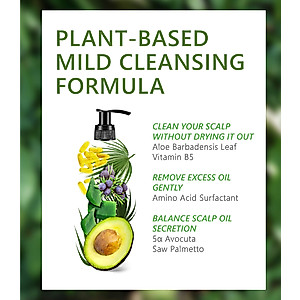 Aromase 5α Intensive Oily Hair Solution Kit (5α Juniper Scalp Purifying Liquid Shampoo 2.8 Fl Oz + 5α Intensive Oily Hair Balancing Essential Shampoo 14 Fl. Oz) for Oily Scalp, Oil Smells