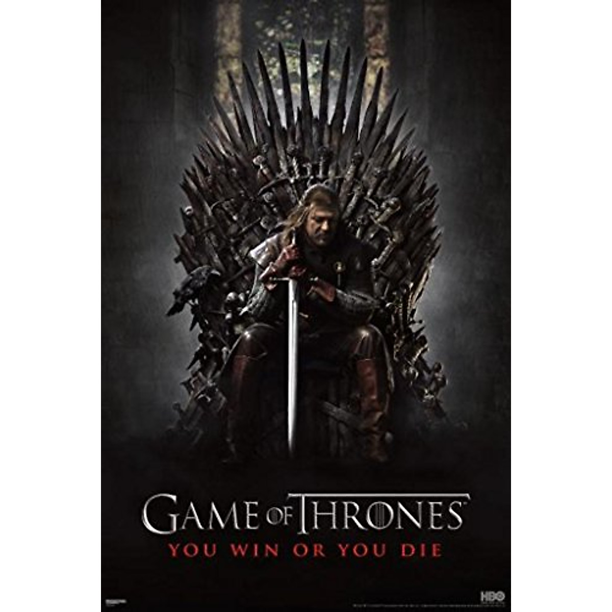 Game of Thrones You Win or You Die Iron Throne Ned Stark TV Cool Wall Decor Art Print Poster 24x36